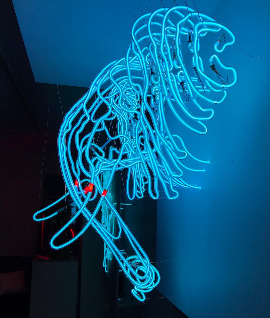 Neon sculpture exhibit at Georgetown gallery shows possibilities of ...
