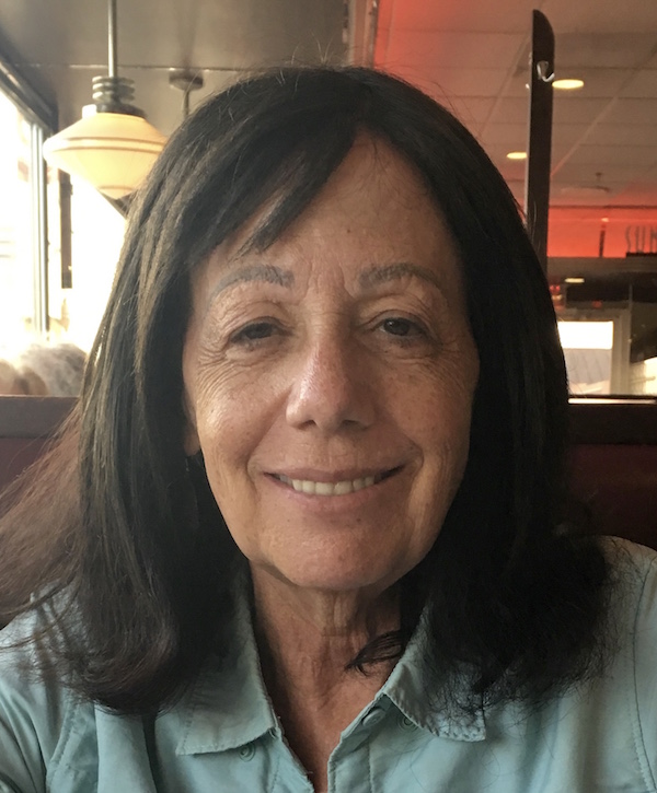 Marcia Bernbaum: DC will pilot two stand-alone public restrooms open 24 ...