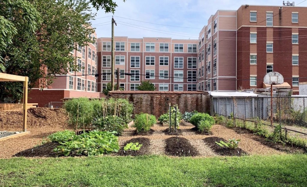 New artist residency in Ward 7 opens Saturday – TheDCLine.org